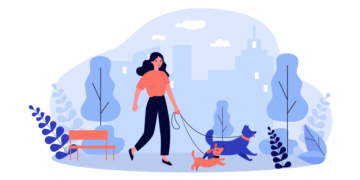 Your pets even more secure - SyPpT
